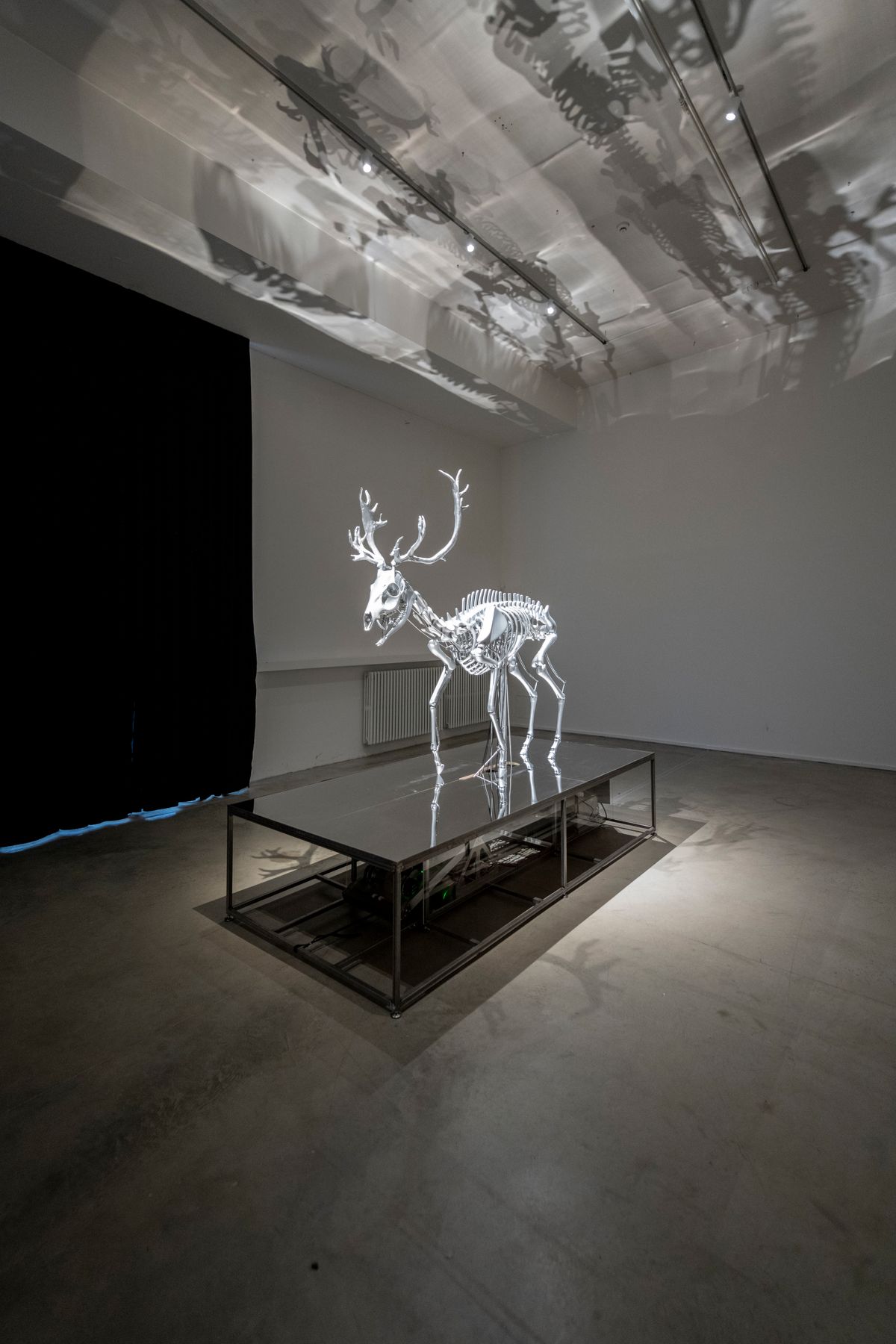 ‘KAFKAesque’ Exhibition Marks 100 Years Since Kafka’s Death | Ocula